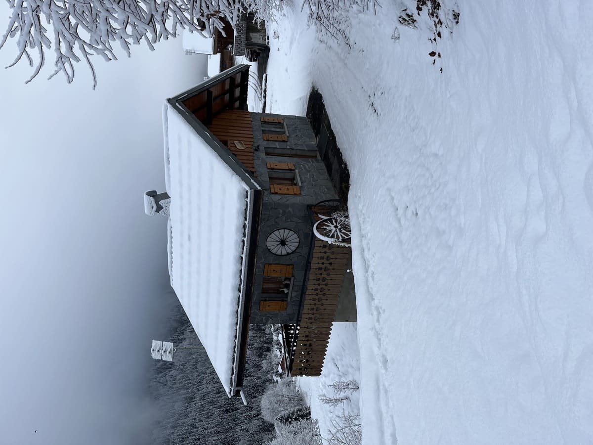 Chalet La Fouine 5 personnes - Location Chalet Individuel Châtel, CHAFOUINE